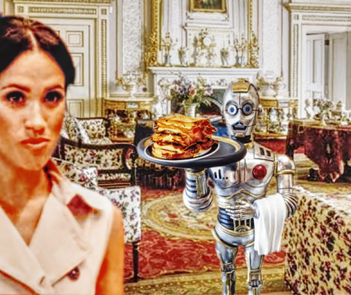 Meghan Markle Aides Could Be Replaced by Robot Says Palace - Daily Squib