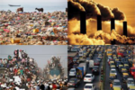 A Fifth of Global Farmland Contaminated by Toxic Metals, Study Reveals ...