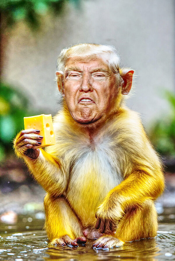 Trump: "I may be a surrender monkey but I don't like cheese!" - Daily Squib
