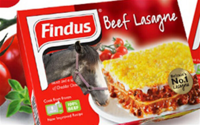 Findus Lasagne Daily Squib Offer - Daily Squib
