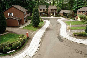 Government Takes U-Turn into Cul-De-Sac - Daily Squib