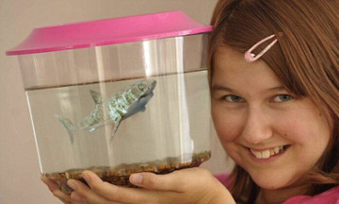 Scientists Breed First Ever Miniature Great White Sharks - Daily Squib